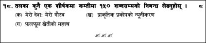 SEE Nepali (2079) Model Questions With AnswerSheet - M S G